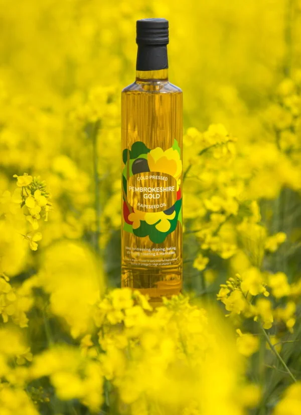 Cold pressed rapeseed oil | Welsh rapeseed oil