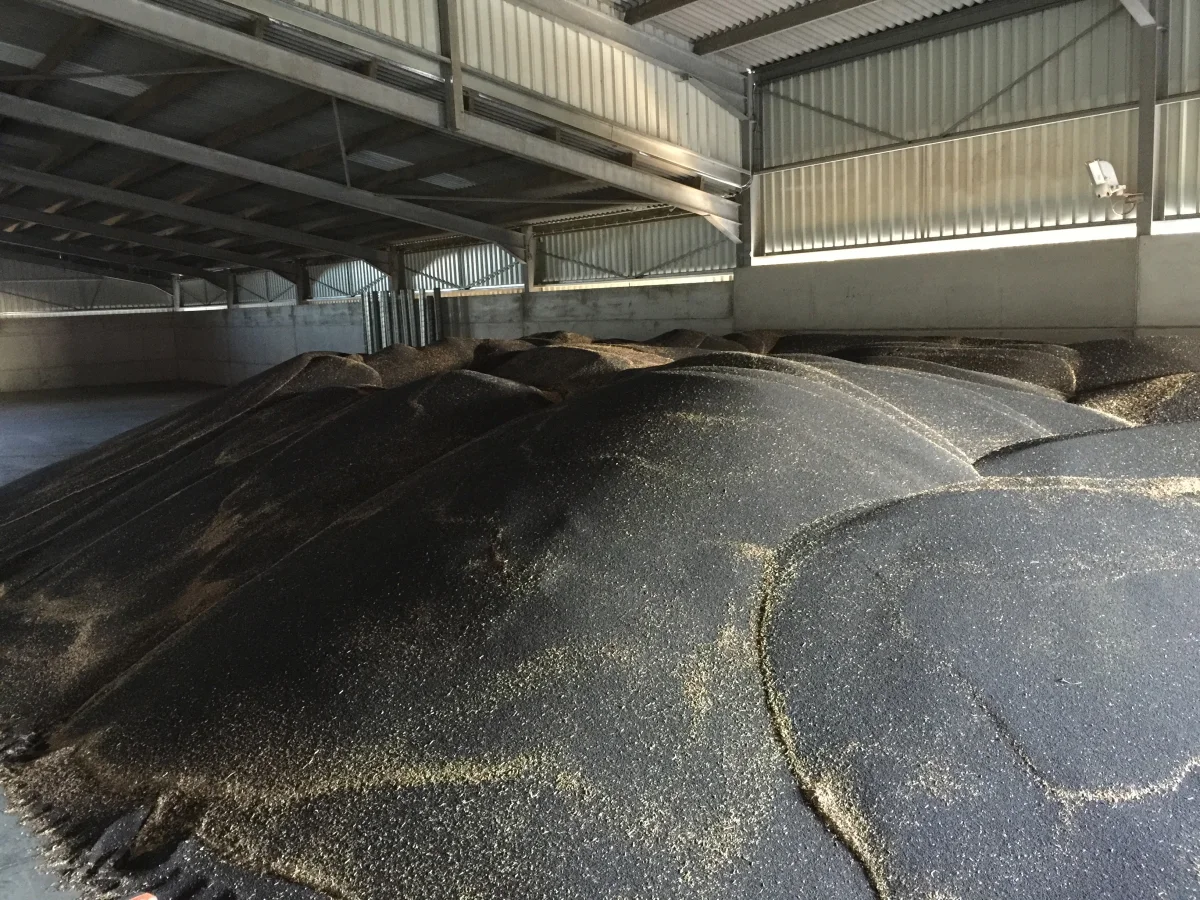 Welsh Rapeseed Oil | Cold Pressed Rapeseed Oil | British Rapeseed oil